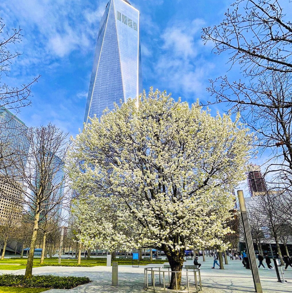 9/11 Memorial Monument %%page% - New York Info%