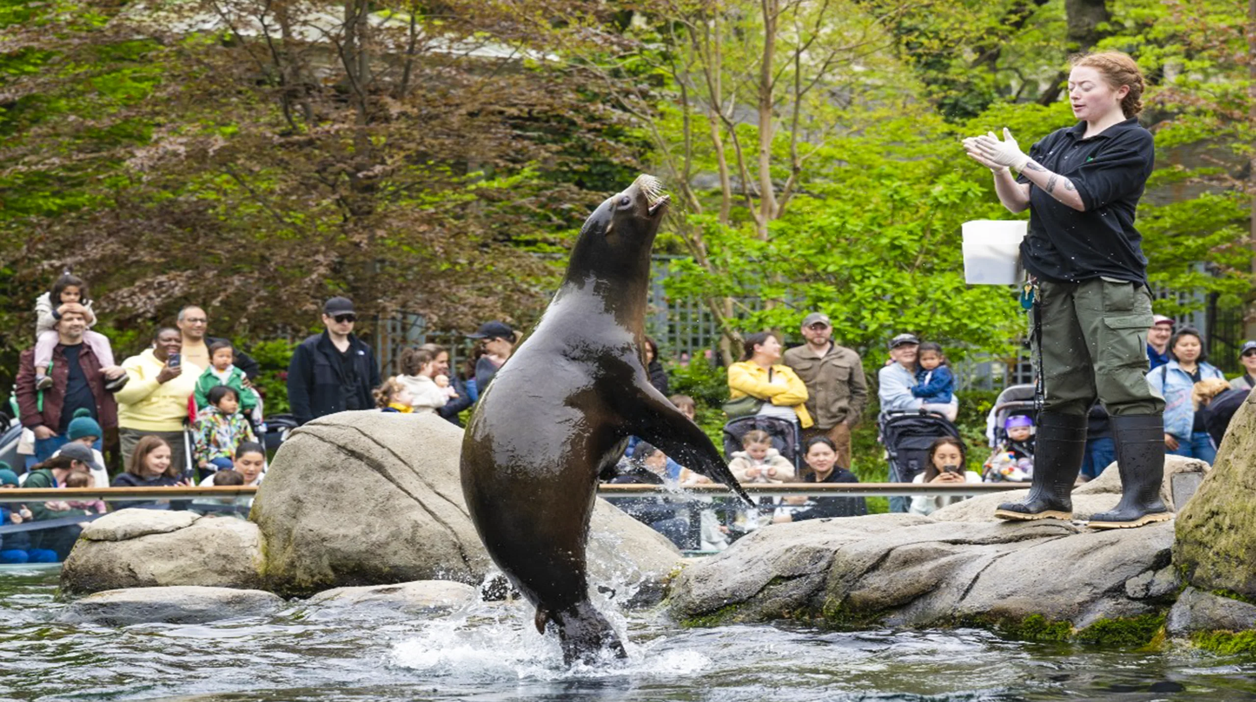 Central park zoo in New York: Is it worth a visit?